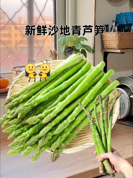 芦笋图片大全大图_芦笋怎么挑选新鲜-第2张图片-山城妙识
