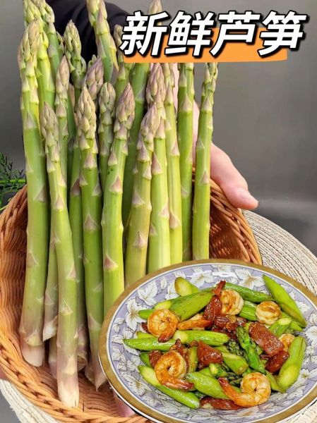 芦笋图片大全大图_芦笋怎么挑选新鲜-第3张图片-山城妙识