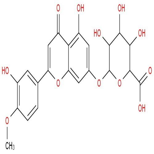 香叶木素结构式是什么_香叶木素作用机制有哪些-第3张图片-山城妙识 香叶木素结构式是什么_香叶木素作用机制有哪些-第3张图片-山城妙识