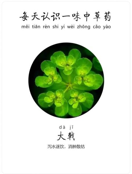 戟怎么读_戟是什么意思-第3张图片-山城妙识