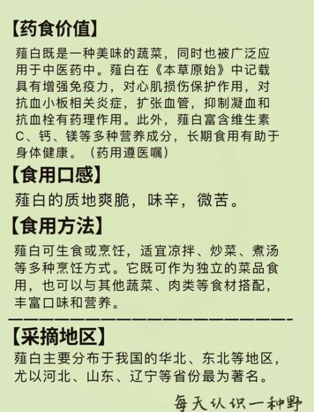 野蒜的功效与作用_野蒜怎么吃最好-第1张图片-山城妙识 野蒜的功效与作用_野蒜怎么吃最好-第1张图片-山城妙识