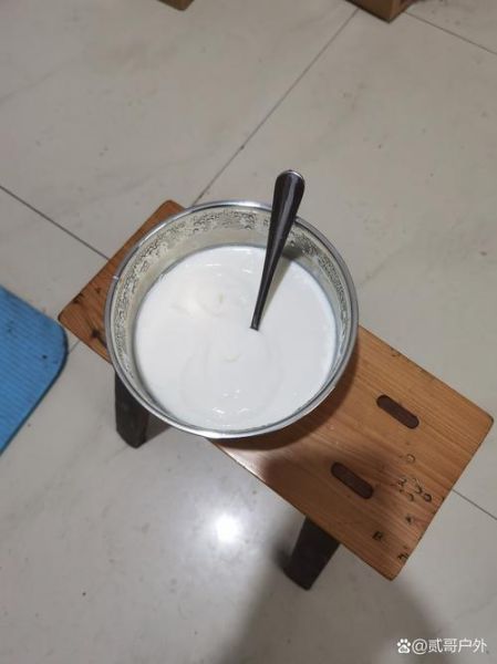酸奶机怎么做酸奶_酸奶机做酸奶需要多长时间-第1张图片-山城妙识 酸奶机怎么做酸奶_酸奶机做酸奶需要多长时间-第1张图片-山城妙识