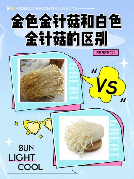 金针菇不能和什么一起吃_金针菇相克食物有哪些-第2张图片-山城妙识 金针菇不能和什么一起吃_金针菇相克食物有哪些-第2张图片-山城妙识