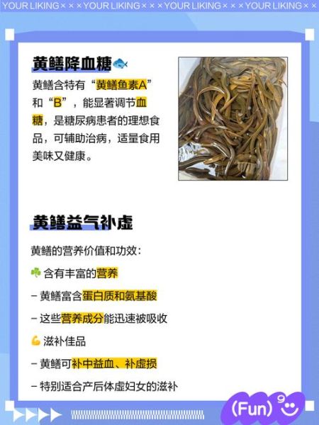 黄鳝的营养价值有哪些_黄鳝的功效与作用是什么-第1张图片-山城妙识 黄鳝的营养价值有哪些_黄鳝的功效与作用是什么-第1张图片-山城妙识