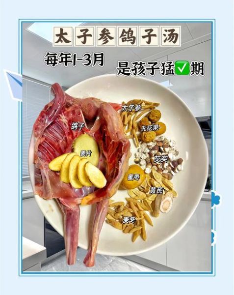 鸽子汤怎么炖适合孩子_儿童鸽子汤做法步骤-第3张图片-山城妙识 鸽子汤怎么炖适合孩子_儿童鸽子汤做法步骤-第3张图片-山城妙识