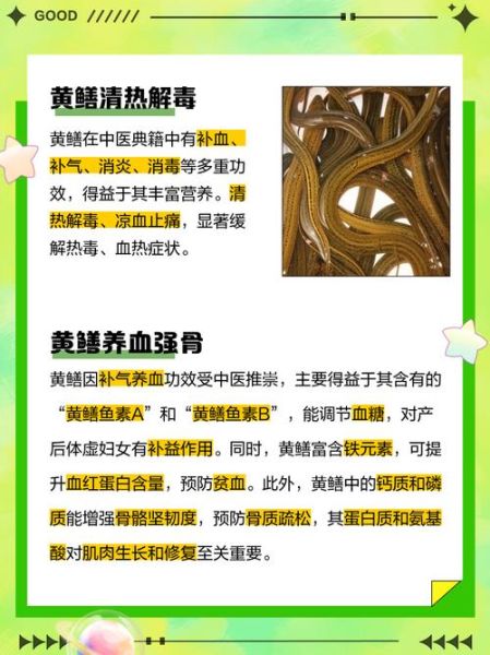 黄鳝的营养价值有哪些_黄鳝的功效与作用是什么-第3张图片-山城妙识 黄鳝的营养价值有哪些_黄鳝的功效与作用是什么-第3张图片-山城妙识