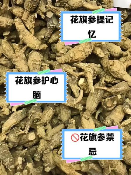 花旗参的功效与作用吃法_花旗参的禁忌有哪些-第1张图片-山城妙识 花旗参的功效与作用吃法_花旗参的禁忌有哪些-第1张图片-山城妙识