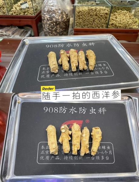 花旗参的功效与作用吃法_花旗参的禁忌有哪些-第3张图片-山城妙识 花旗参的功效与作用吃法_花旗参的禁忌有哪些-第3张图片-山城妙识