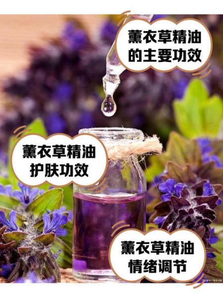 薰衣草精油的功效与作用_怎么用效果最好-第2张图片-山城妙识