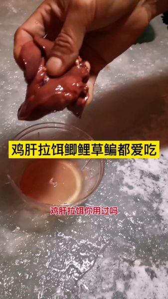 鸡肝钓什么鱼效果最好_鸡肝钓鱼技巧-第1张图片-山城妙识 鸡肝钓什么鱼效果最好_鸡肝钓鱼技巧-第1张图片-山城妙识