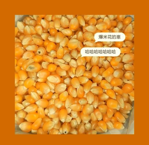 怎么在家做爆米花_用什么锅爆米花最好-第2张图片-山城妙识 怎么在家做爆米花_用什么锅爆米花最好-第2张图片-山城妙识