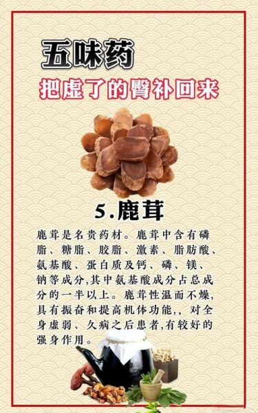 鹿茸的功效与作用有哪些_鹿茸适合什么人吃-第1张图片-山城妙识 鹿茸的功效与作用有哪些_鹿茸适合什么人吃-第1张图片-山城妙识