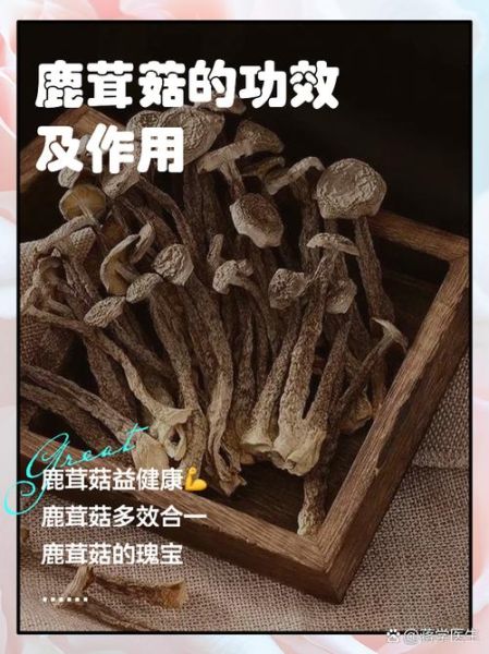 鹿茸的功效与作用有哪些_鹿茸适合什么人吃-第2张图片-山城妙识 鹿茸的功效与作用有哪些_鹿茸适合什么人吃-第2张图片-山城妙识