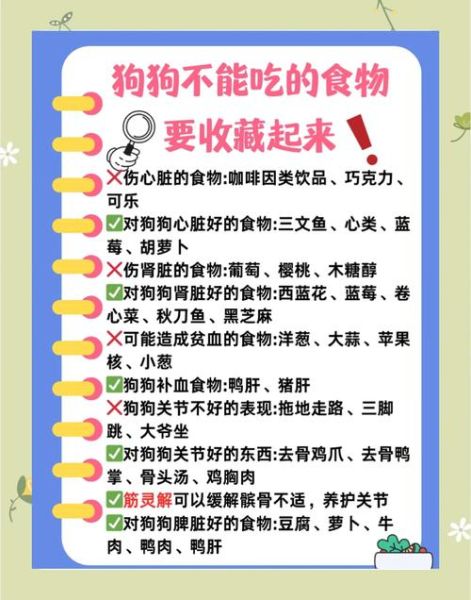 自制狗粮害处_狗狗长期吃会缺什么营养-第2张图片-山城妙识