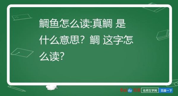 鲷鱼读diao还是chou_鲷鱼发音争议解析-第2张图片-山城妙识