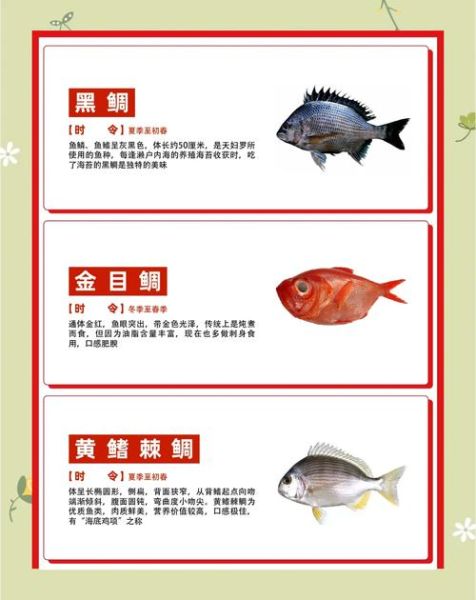 鲷鱼读diao还是chou_鲷鱼发音争议解析-第3张图片-山城妙识