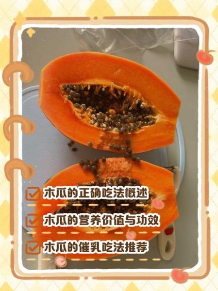木瓜怎么吃最营养_木瓜的正确吃法与做法-第2张图片-山城妙识