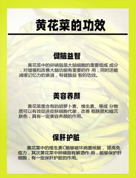 黄花菜煲汤放什么材料最好_黄花菜煲汤怎么搭配最营养-第1张图片-山城妙识