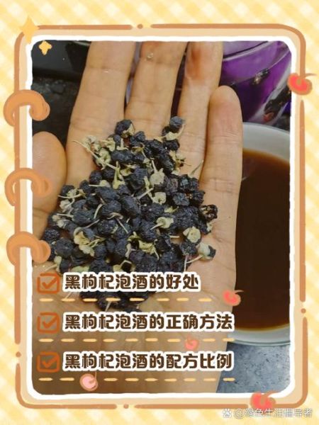 黑枸杞子泡水喝的正确方法_黑枸杞子的功效与禁忌-第1张图片-山城妙识