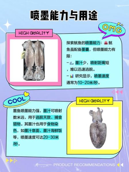 鱿鱼和墨鱼的营养价值差别在哪里_哪个更适合健身餐-第1张图片-山城妙识