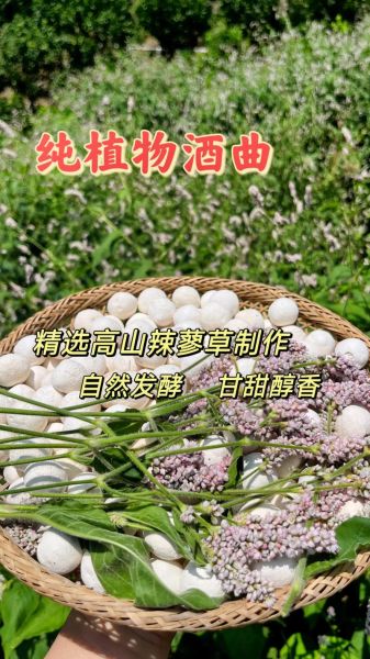 酒曲是什么味道_酒曲闻起来什么味-第2张图片-山城妙识