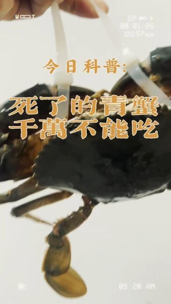 螃蟹第二天死了还能吃吗_死蟹食用安全指南-第3张图片-山城妙识