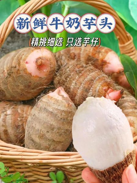 芋头品种有哪些_哪种芋头最适合做甜品-第2张图片-山城妙识