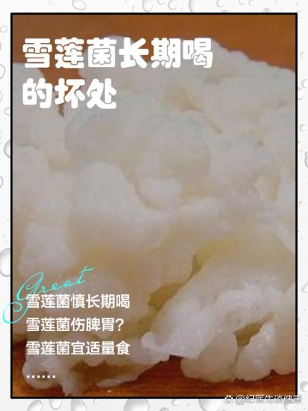 雪莲菌适合什么人喝_雪莲菌不适合什么人喝-第1张图片-山城妙识