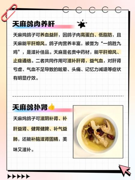 天麻炖鸽子怎么炖效果最好_天麻炖鸽子功效与禁忌-第3张图片-山城妙识