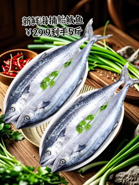 鲐鲅鱼的营养价值_孕妇能吃吗-第3张图片-山城妙识 鲐鲅鱼的营养价值_孕妇能吃吗-第3张图片-山城妙识
