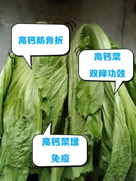 高钙菜的功效与作用_高钙菜适合什么人吃-第2张图片-山城妙识