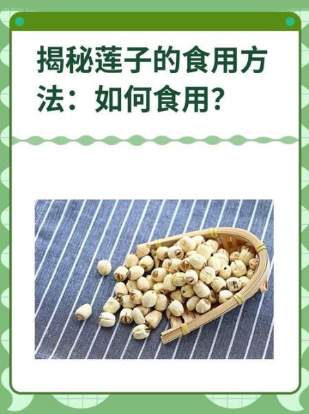 莲子有什么功效_莲子怎么吃最养人-第3张图片-山城妙识