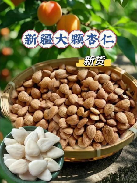 生杏仁怎么吃_生杏仁可以直接吃吗-第1张图片-山城妙识