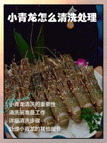 青龙虾怎么处理干净_青龙虾清洗视频教程-第1张图片-山城妙识 青龙虾怎么处理干净_青龙虾清洗视频教程-第1张图片-山城妙识