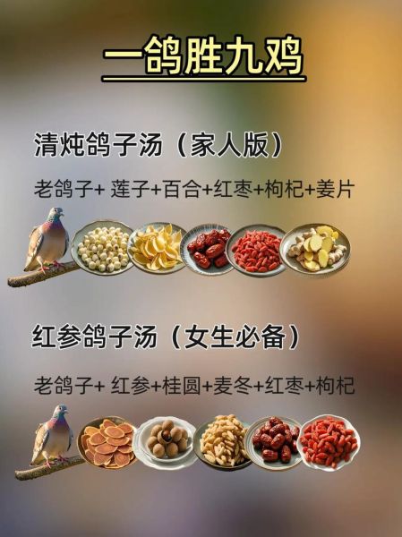 鸽子汤怎么做_鸽子汤怎么炖好喝又营养-第1张图片-山城妙识