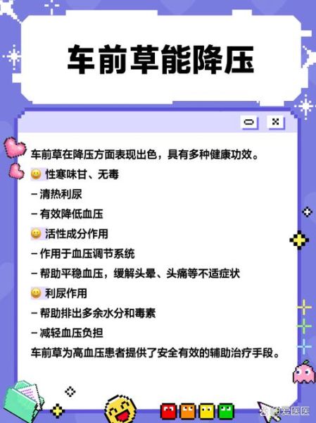 车前草的功效与作用_车前草怎么泡水喝-第3张图片-山城妙识