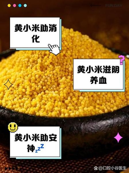 黄米和小米的区别_黄米和小米的功效与作用-第2张图片-山城妙识 黄米和小米的区别_黄米和小米的功效与作用-第2张图片-山城妙识
