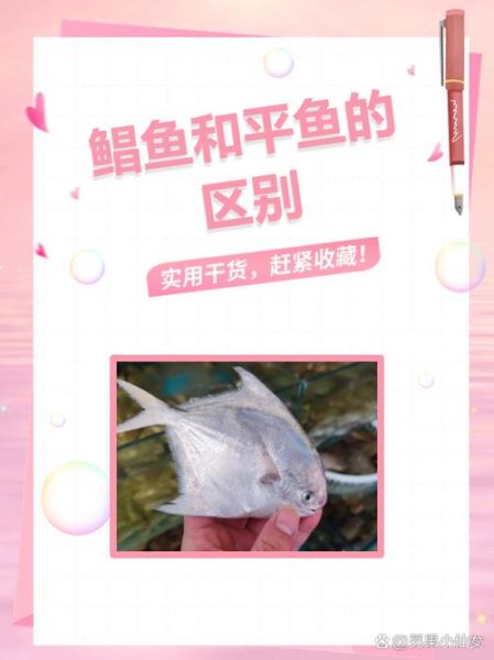 金鲳鱼和鲳鱼的区别_哪个更好吃-第1张图片-山城妙识 金鲳鱼和鲳鱼的区别_哪个更好吃-第1张图片-山城妙识