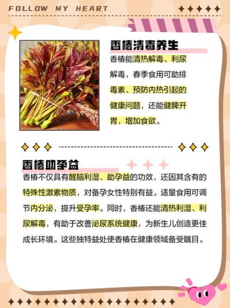 香椿吃了有什么好处_香椿吃多了有什么坏处-第1张图片-山城妙识 香椿吃了有什么好处_香椿吃多了有什么坏处-第1张图片-山城妙识