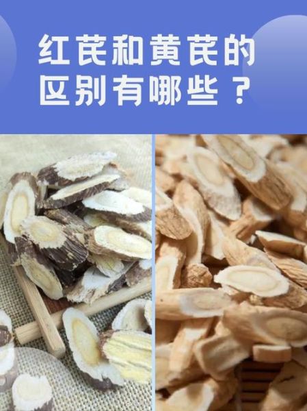 炙黄芪和黄芪的区别_哪个更适合补气-第3张图片-山城妙识