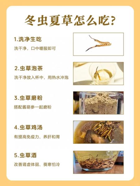 虫草一天吃几根合适_虫草怎么吃效果最好-第3张图片-山城妙识
