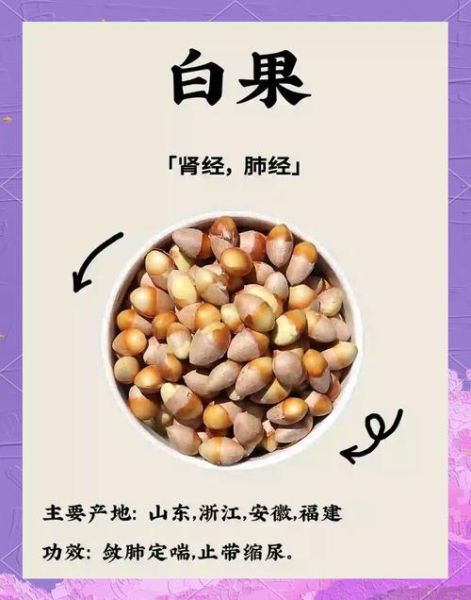白果不能和什么一起吃_白果禁忌食物有哪些-第2张图片-山城妙识 白果不能和什么一起吃_白果禁忌食物有哪些-第2张图片-山城妙识