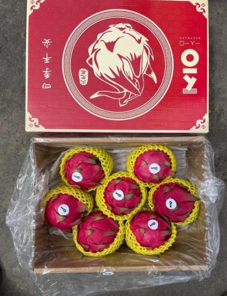 红心火龙果图片_怎么挑选成熟果实-第2张图片-山城妙识