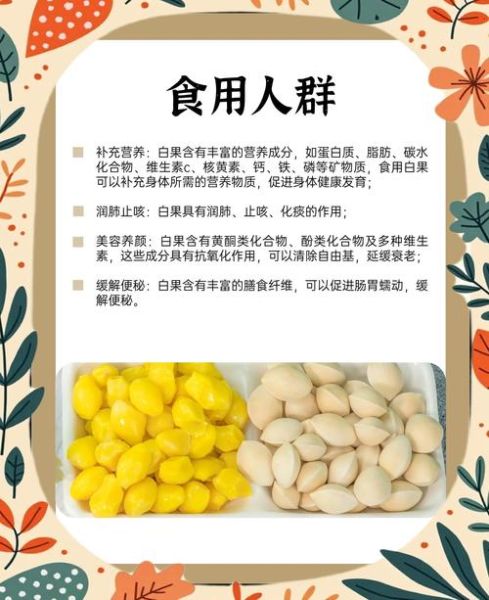 白果不能和什么一起吃_白果禁忌食物有哪些-第1张图片-山城妙识 白果不能和什么一起吃_白果禁忌食物有哪些-第1张图片-山城妙识