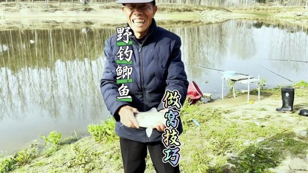 野钓鲫鱼窝料绝密配方_自制鲫鱼窝料怎么做-第2张图片-山城妙识