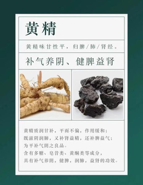 黄精的功效与作用_黄精怎么吃效果最好-第1张图片-山城妙识