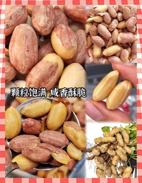 花生米批发价格哪里便宜_花生米批发厂家怎么选-第1张图片-山城妙识 花生米批发价格哪里便宜_花生米批发厂家怎么选-第1张图片-山城妙识