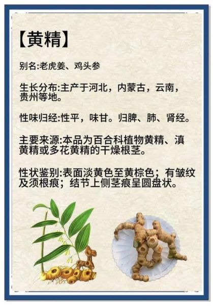 黄精的功效与作用_黄精怎么吃效果最好-第3张图片-山城妙识