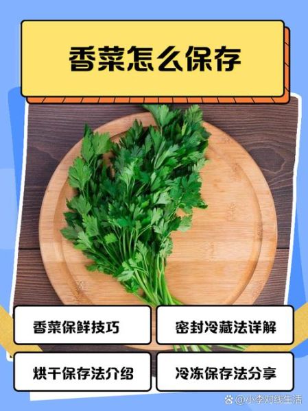 香菜怎么保存新鲜不烂_香菜保鲜的正确方法-第3张图片-山城妙识 香菜怎么保存新鲜不烂_香菜保鲜的正确方法-第3张图片-山城妙识