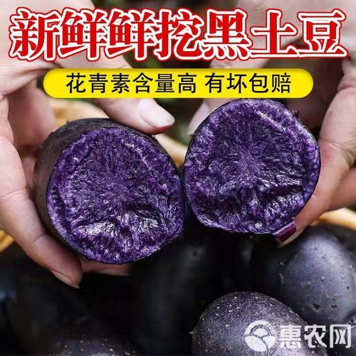 黑美人土豆怎么吃_黑美人土豆做法大全-第2张图片-山城妙识